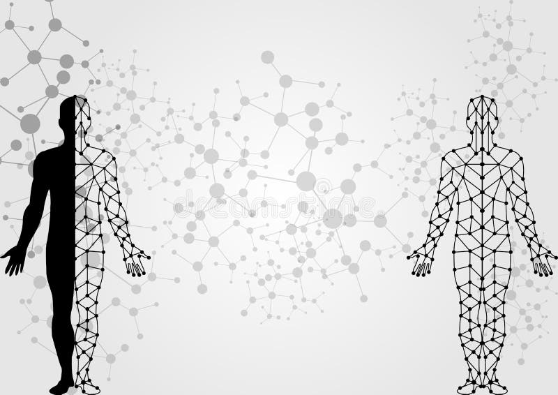 Molecule Body Concept of the Human. Illustration Design Stock Vector ...