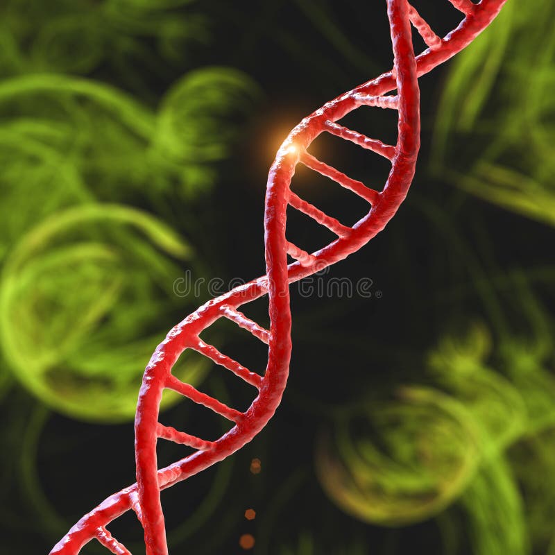 Molecule of DNA, Double Helix Stock Illustration - Illustration of ...