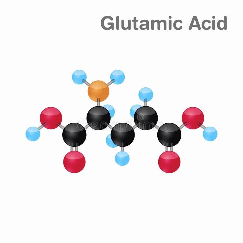 Molecule of Glutamic Acid, Glu, an Amino Acid Used in the Biosynthesis ...