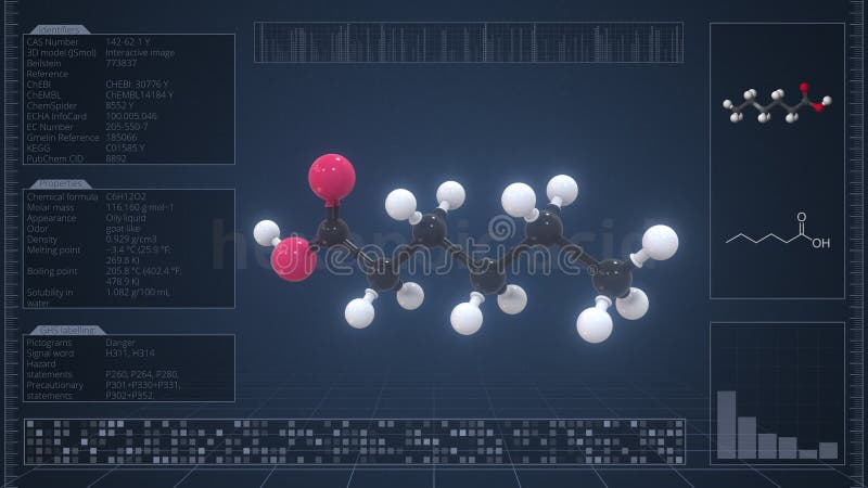 Molecule of Hexanoic Acid with Infographics on the Computer Monitor ...