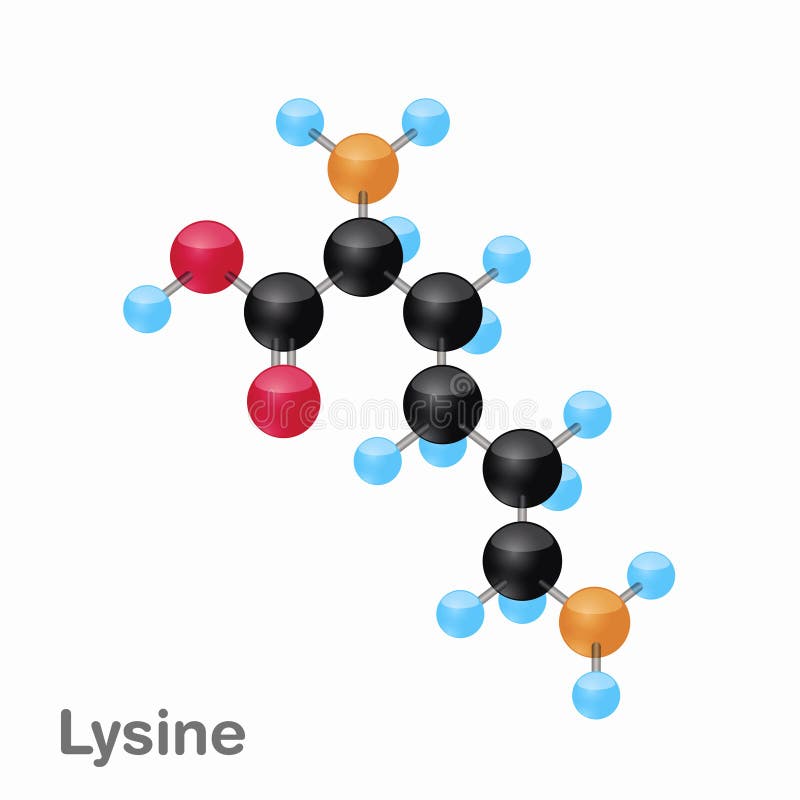 Lysine Stock Illustrations – 388 Lysine Stock Illustrations, Vectors ...
