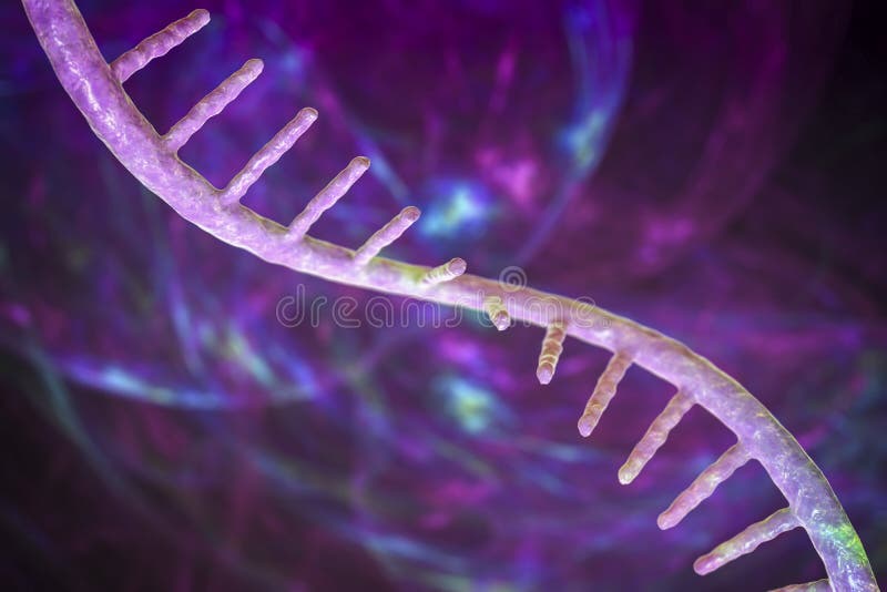 Molecule of MRNA, 3D Illustration Stock Illustration - Illustration of ...