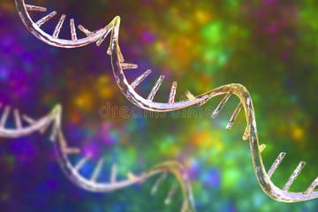 Molecule of MRNA, 3D Illustration Stock Illustration - Illustration of ...