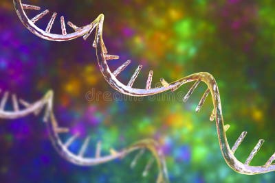 Molecule of MRNA, 3D Illustration Stock Illustration - Illustration of ...