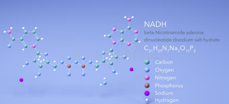 Molecule Nadh, Molecular Structures, Beta-Nicotinamide Adenine ...