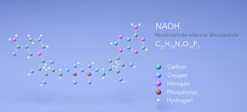 Nadh Stock Illustrations – 155 Nadh Stock Illustrations, Vectors ...