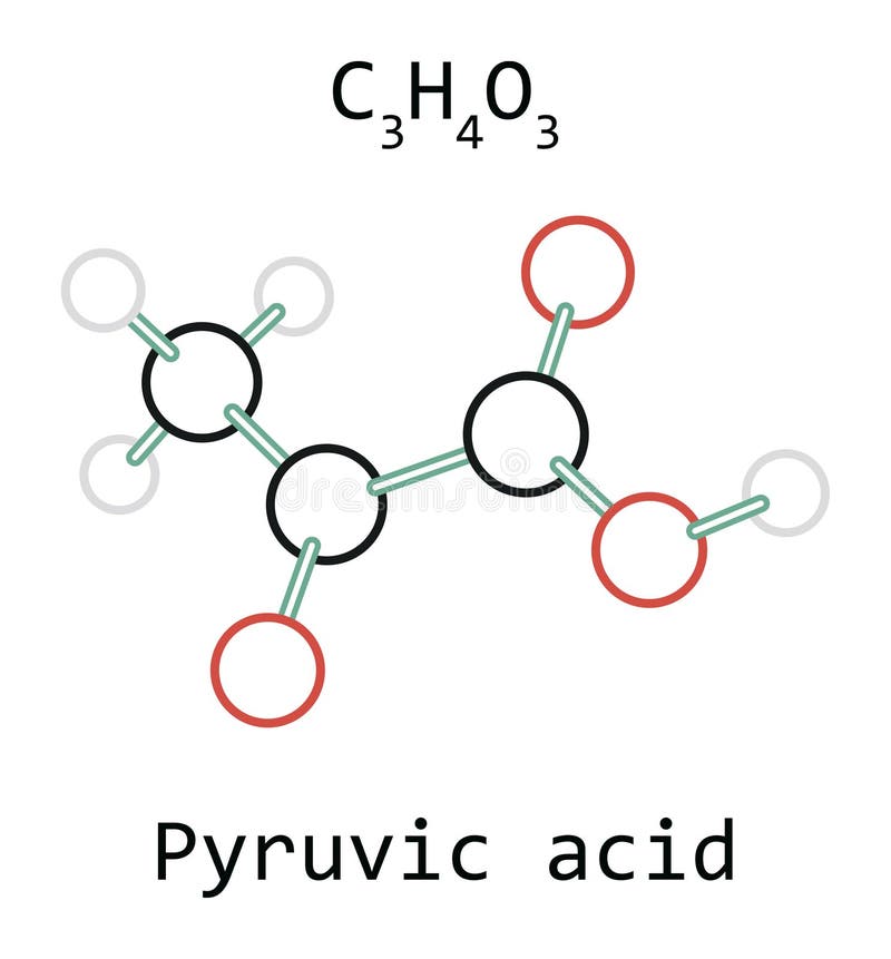 Pyruvic Acid Stock Illustrations – 50 Pyruvic Acid Stock Illustrations ...