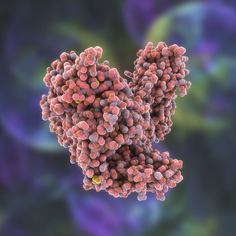 Molecule of Tetanus Neurotoxin Stock Illustration - Illustration of ...