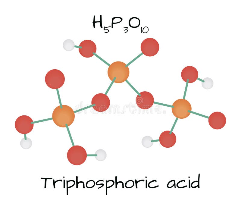 Triphosphoric Acid Stock Illustrations – 2 Triphosphoric Acid Stock ...