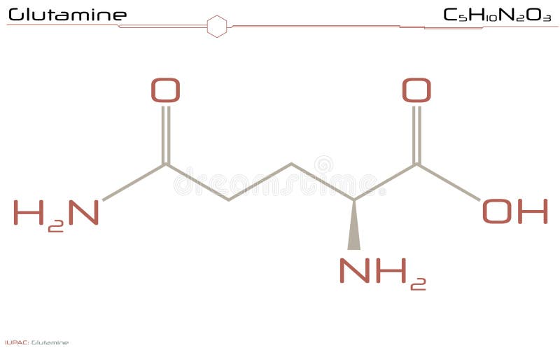 De Structuur Van De Glutaminemolecule Stock Illustratie - Illustratie ...