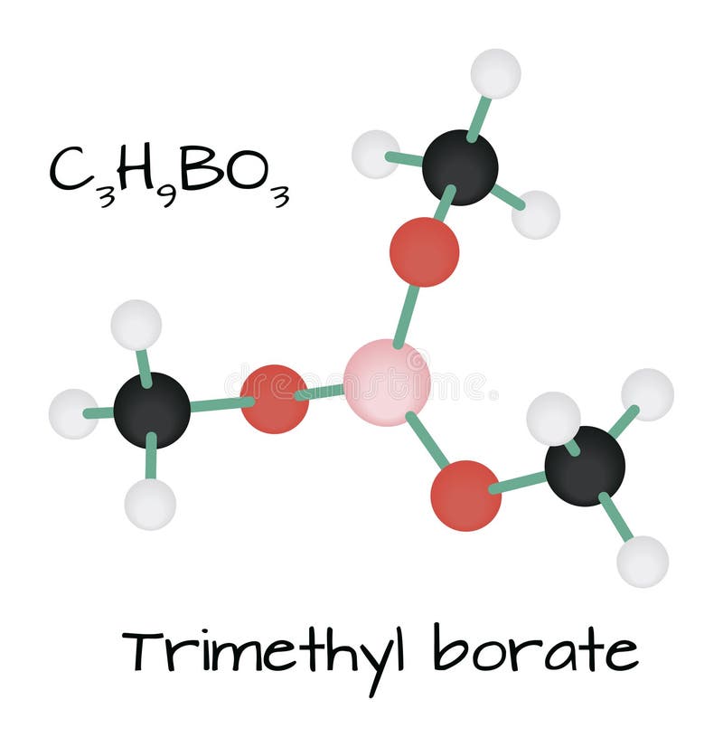 Boraat Stock Illustrations, Vectors, & Clipart – (46 Stock Illustrations)