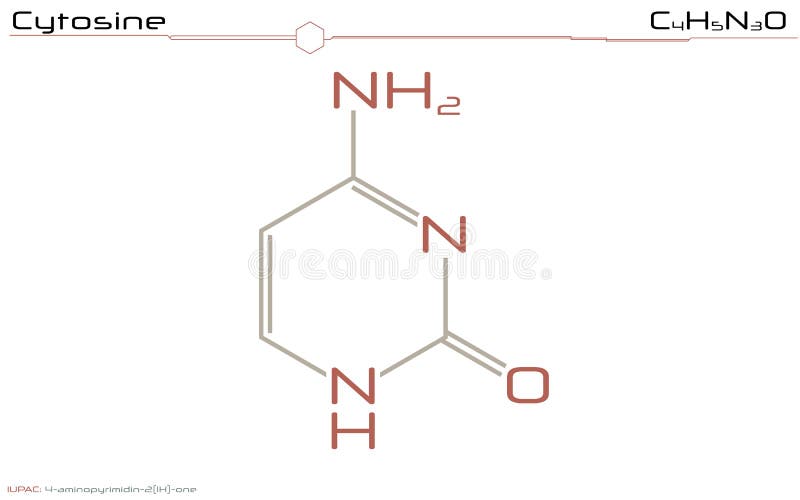 DNA-SATZ Cytosin 02 stock abbildung. Illustration von kette - 17439099