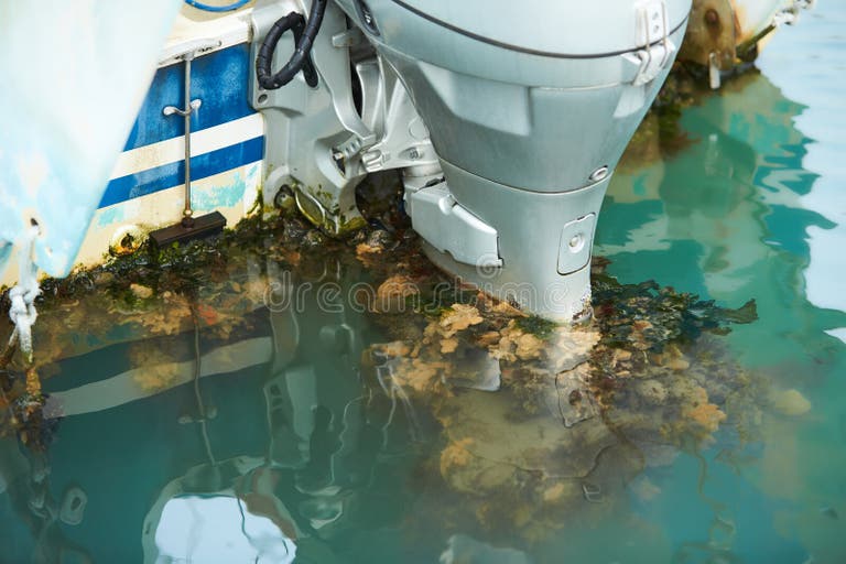 Molluscs, Overgrown Ship Bottom. Shellfish on the Hull of the Ship ...