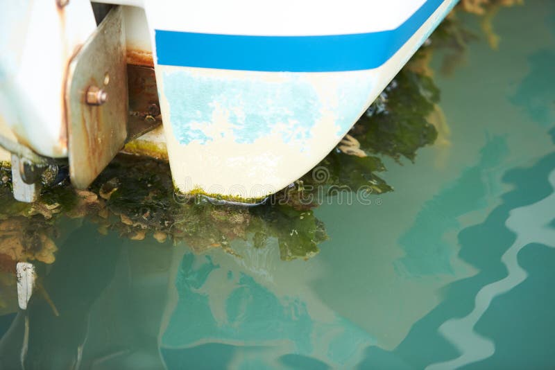 Molluscs, Overgrown Ship Bottom. Shellfish on the Hull of the Ship ...