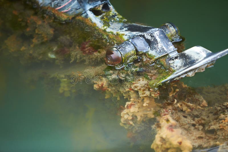 Molluscs, Overgrown Ship Bottom. Shellfish on the Hull of the Ship ...