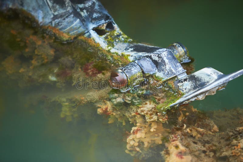 Molluscs, Overgrown Ship Bottom. Shellfish on the Hull of the Ship ...