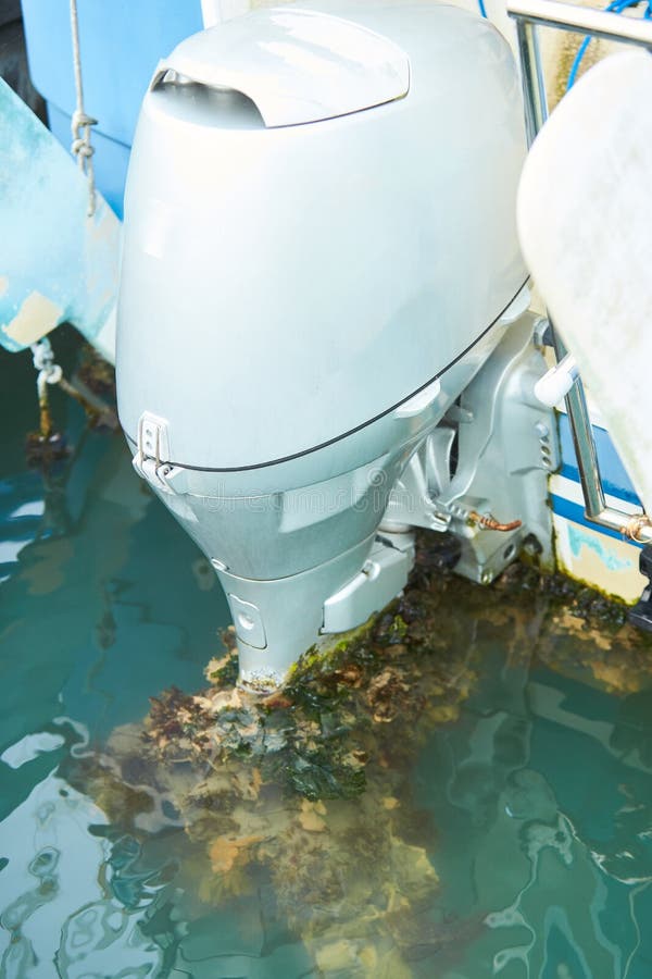 Molluscs, Overgrown Ship Bottom. Shellfish on the Hull of the Ship ...