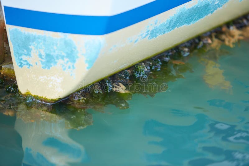 Molluscs, Overgrown Ship Bottom. Shellfish on the Hull of the Ship ...