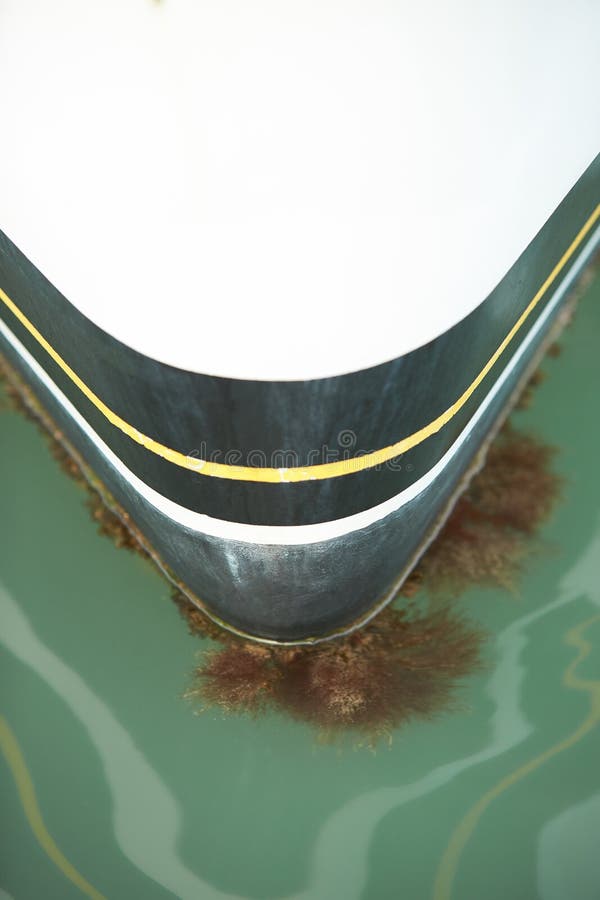 Molluscs, Overgrown Ship Bottom. Shellfish on the Hull of the Ship ...