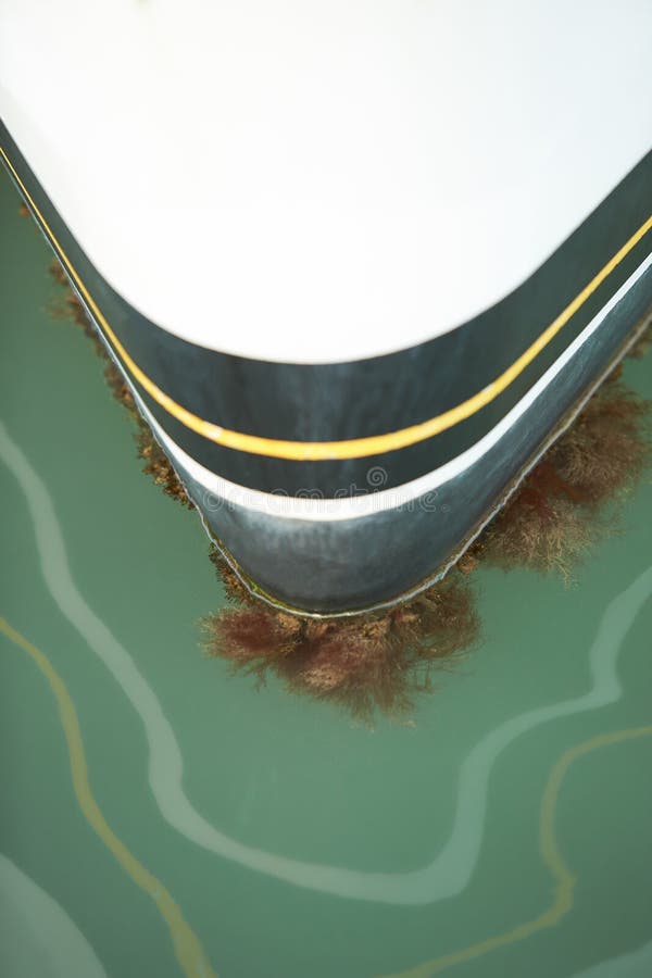 Molluscs, Overgrown Ship Bottom. Shellfish on the Hull of the Ship ...