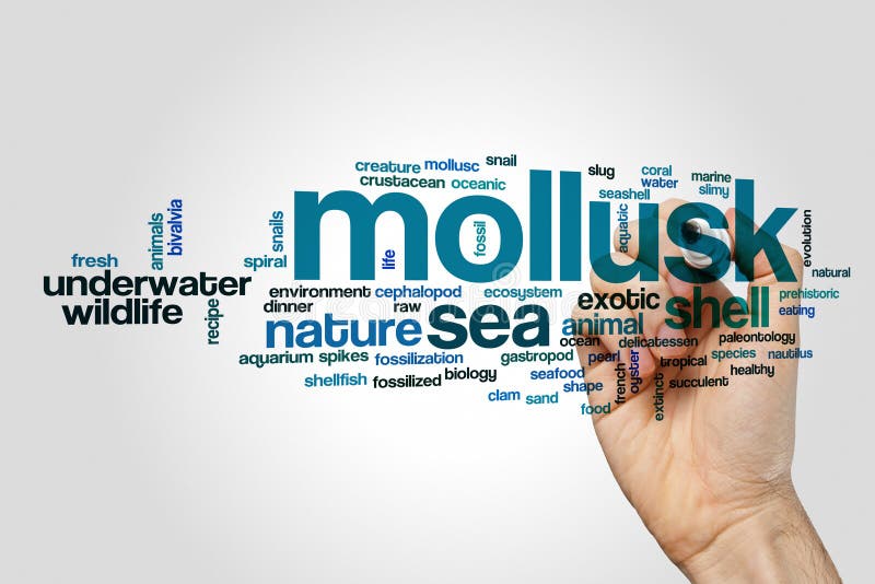 Ecosystem Word Cloud Concept Grey Background Photos - Free & Royalty ...