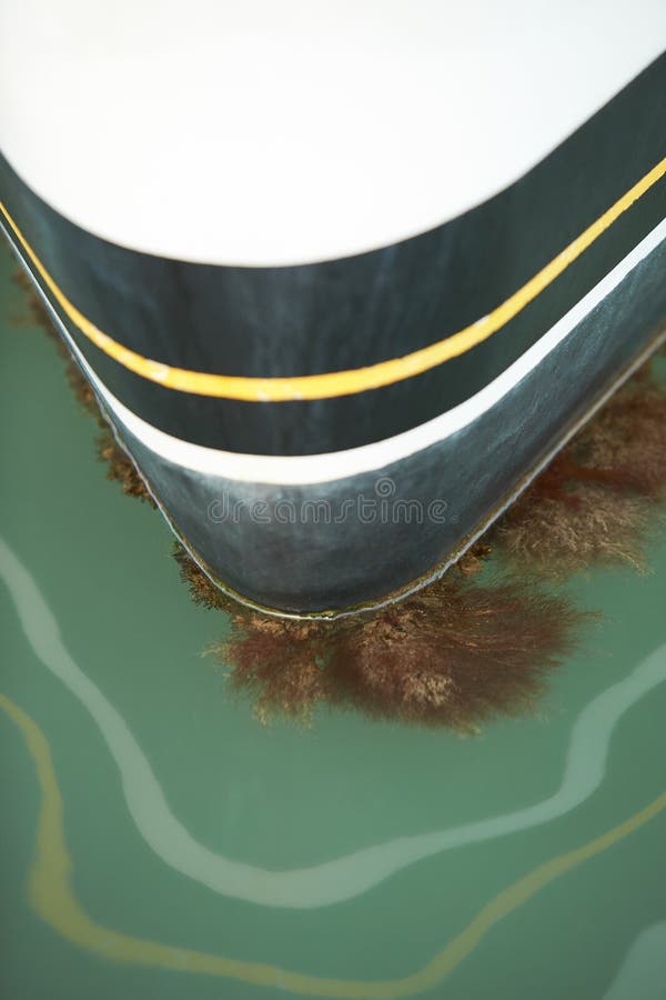 Mollusks, Overgrown Ship Bottom. Shellfish on the Hull of the Ship ...