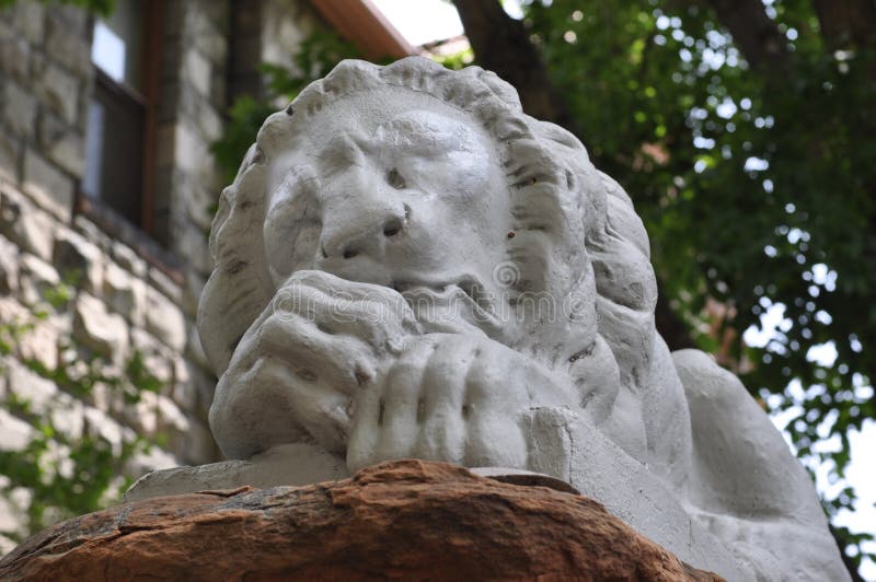 398 Molly Brown Hairy Stock Photos - Free & Royalty-Free Stock Photos ...