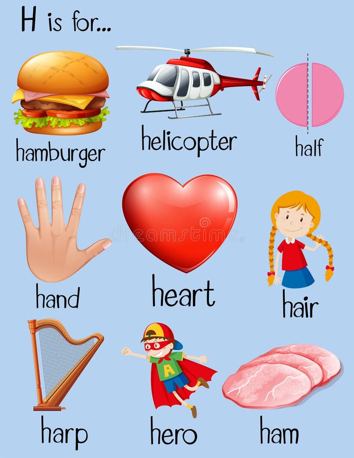 Molte Parole Cominciano Con La Lettera H Illustrazione Vettoriale ...