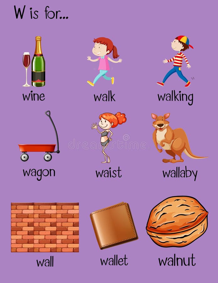 Molte Parole Cominciano Con La Lettera W Illustrazione Vettoriale ...
