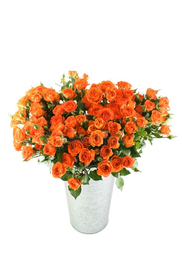 Molte Rose Arancio Nel Mazzo Immagine Stock - Immagine di fiore ...