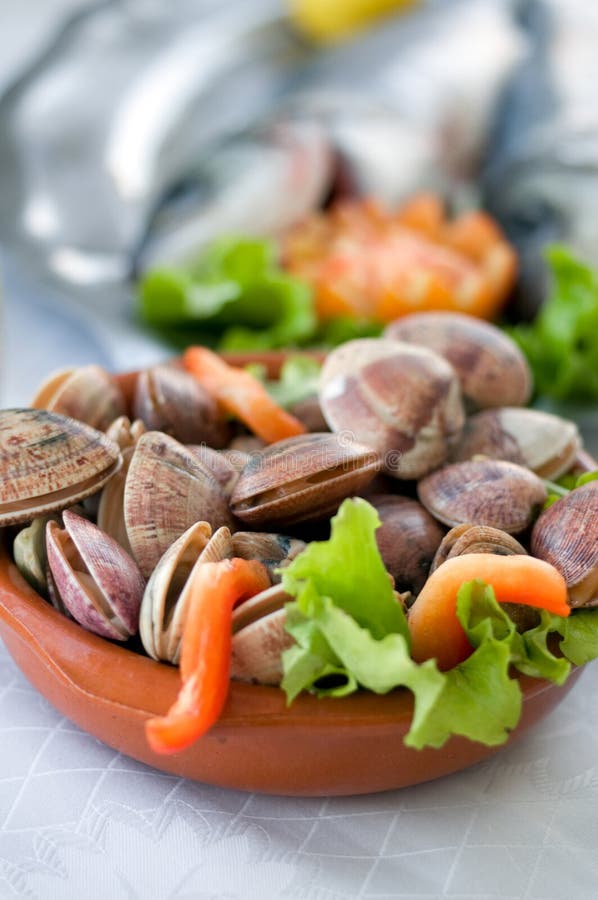 Moluscos Frescos Em Linha Reta Do Mar Foto de Stock - Imagem de frescor ...