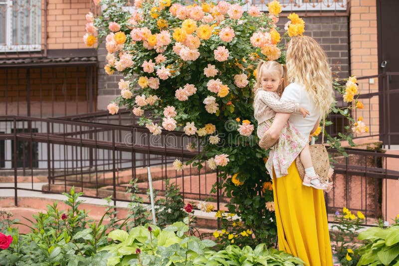 Mom and Daughter Admire the Yellow Rose Bushes, Take Selfies, Take ... Mom and Daughter Admire the Yellow Rose Bushes, Take Selfies, Take ...