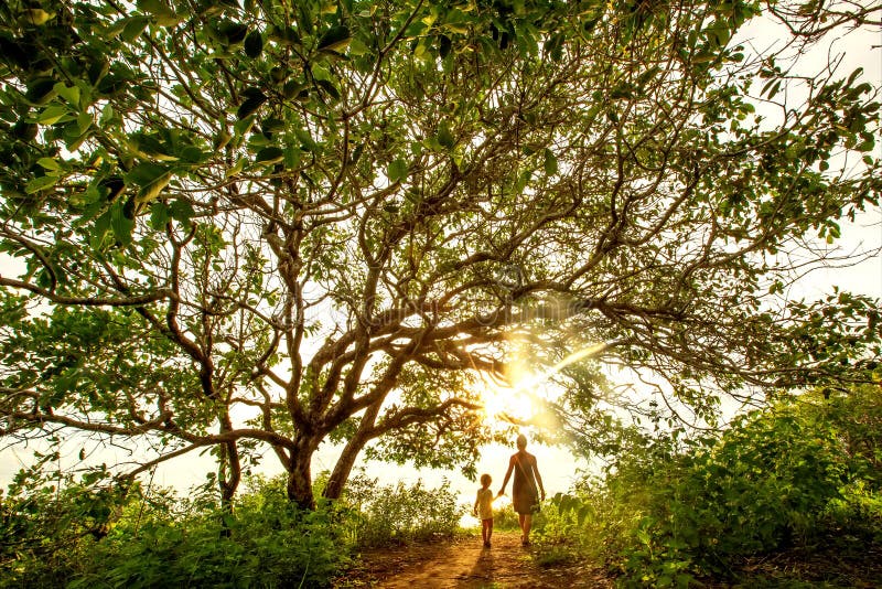 Mom and Son on a Background of a Large Tree Stock Photo - Image of ...