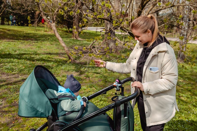 Mom with a Stroller on a Walk in the Park Stock Photo - Image of person ...
