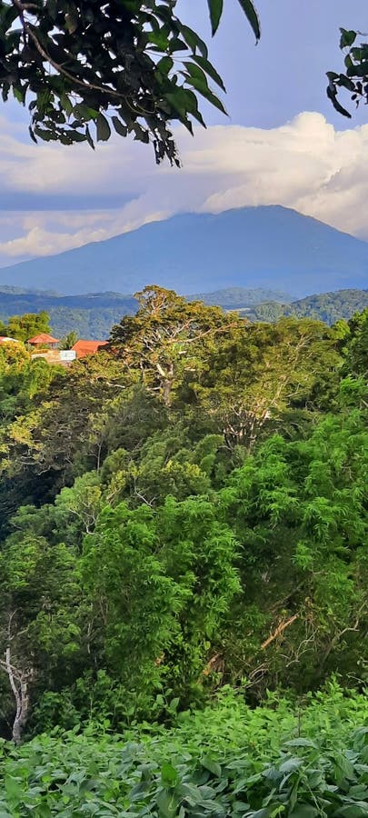 Mombacho volcano stock image. Image of ecology, nicaragua - 291866677