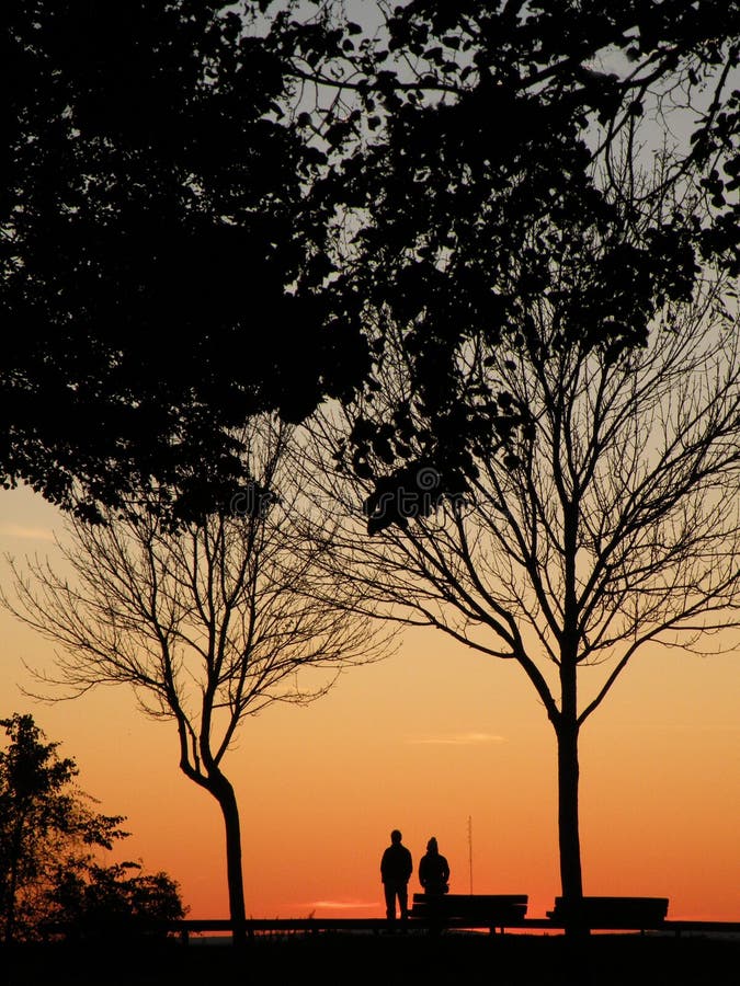 Couple Gazing at Tropical Sunset on Beach Stock Photo - Image of alone ...