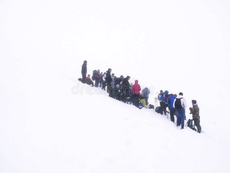 A moment of rest editorial photo. Image of resting, snow - 106264181