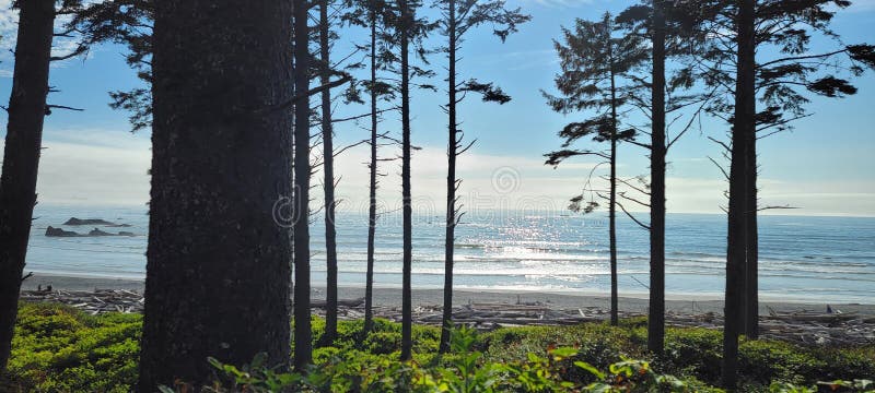 Moments and Views of the Pacific Ocean from Ruby Beach Washington Stock ...