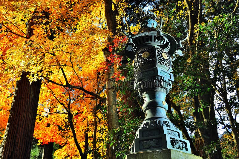 Momiji stock image. Image of momiji, landscape, beauty - 90661573