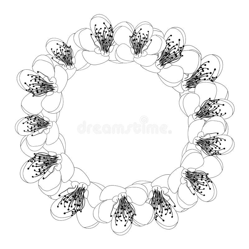 Momo Peach Flower Blossom Wreath Outline. Vector Illustration. Stock ...