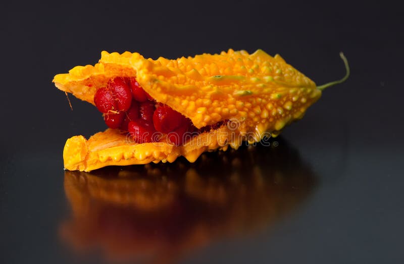 Momordica charantia stock photo. Image of health, delicious - 11538356