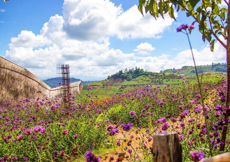 Doi Mon Cham in Chiangmai Province Stock Image - Image of leaf, cloud ...
