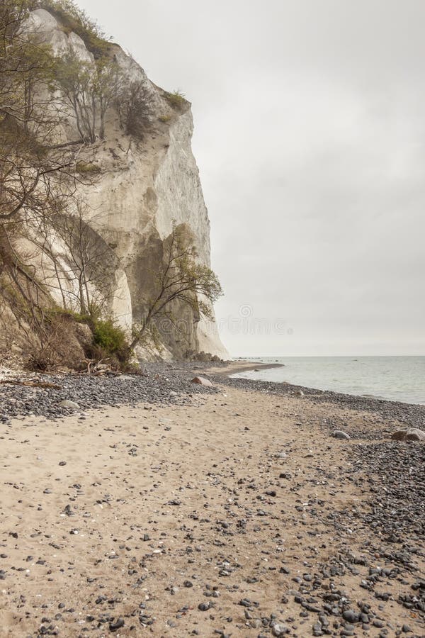 Mon, Denmark - White Cliffs Stock Photo - Image of coast, cliff: 132538372