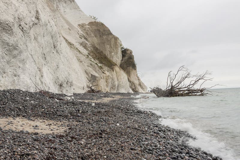 Mon, Denmark - White Cliffs Stock Photo - Image of klint, mons: 132538512