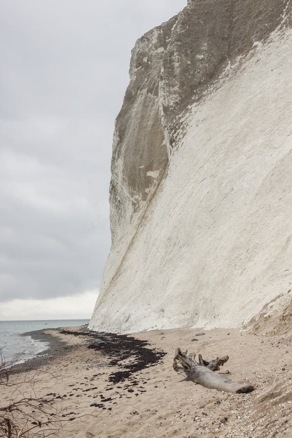 Mon, Denmark - White Cliffs Stock Photo - Image of klint, mons: 132538512