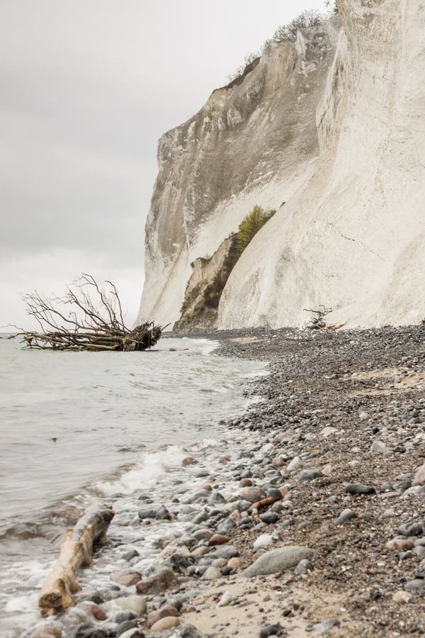 Mon, Denmark - White Cliffs Stock Image - Image of scenic, white: 132538535