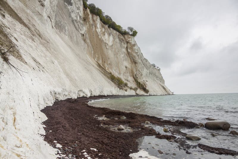 Mon, Denmark - White Cliffs Stock Photo - Image of summer, ocean: 132538594