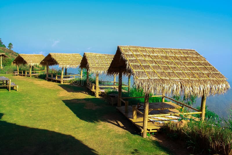 Mon Jam Chang Mai ,Thailand Stock Image - Image of cultivated, barley ...