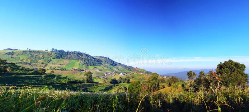 Mon Jam Chiang Mai Thailand Stock Photo - Image of beautiful, field ...