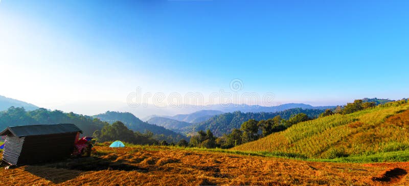 Mon Jam Chiang Mai Thailand Stock Image - Image of garden, beautiful ...